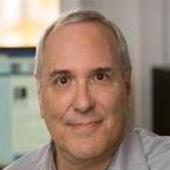 What is the ACE2 receptor, how is it connected to coronavirus and why ...