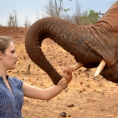 Elephants get the point when it comes to making gestures
