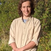 Tasmanian devils look set to conquer their own pandemic