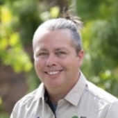 Australian endangered species: Largetooth Sawfish