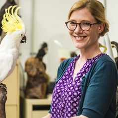 Lucy Aplin – The Conversation