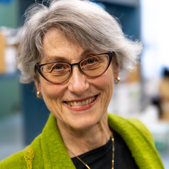 Miriam L Diamond – The Conversation