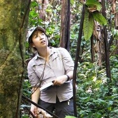 Ying Luo – The Conversation