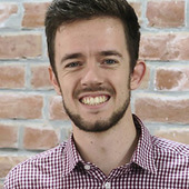 Ecological doom-loops: why ecosystem collapses may occur much sooner ...