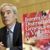 La uva de Rioja ante el cambio climático: ¿qué variedades se adaptan mejor?