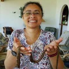 Carol Simon – The Conversation