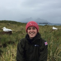 Elizabeth Pearmain – The Conversation