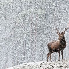 Kevin Rother – The Conversation