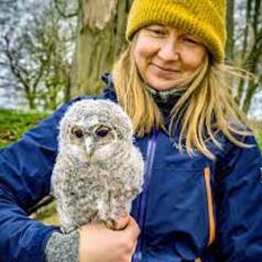 Hannah Watson – The Conversation