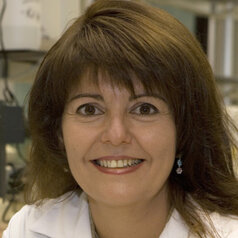 Ana María Blázquez Morilla – The Conversation