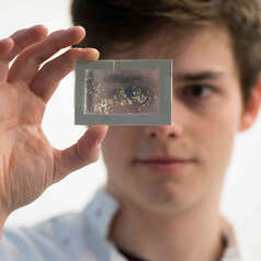 Thomas O'Shea-Wheller – The Conversation