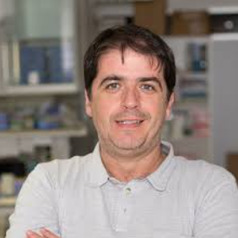 Rui Alves – The Conversation