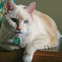 Michael Calhoun – The Conversation