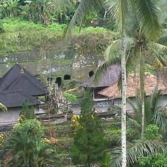 Odongo Kodongo – The Conversation