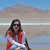 Let’s get serious about protecting wildlife in a warming world