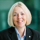 Why different painkillers are only effective for certain types of pain