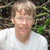 Suffering for science: why I have insects sting me to create a pain index