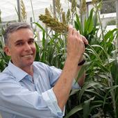 The tragic story of Soviet genetics shows the folly of political ...