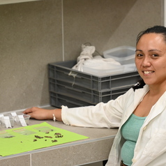 Vahine Ahu'ura RURUA – The Conversation