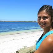 Relax, shark numbers aren’t booming, but more research can make us safer