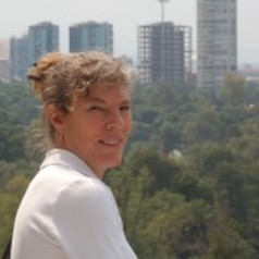 Laura A. Reese – The Conversation