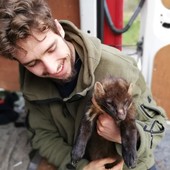 Restoring native predators can control invasive species – if they pass ...