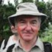 Fact Check: was it right to kill Lilith the escaped lynx?