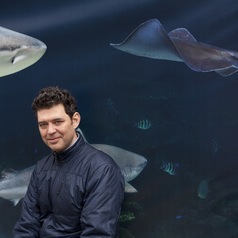 Nicholas Dulvy – The Conversation