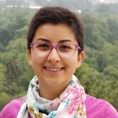 The IceCube observatory detects neutrino and discovers a blazar as its ...