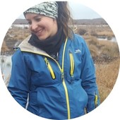 Bogs are unique records of history – here’s why