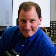 Gregg J. Suaning – The Conversation