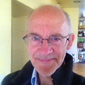 What happens to the natural world if all the insects disappear?