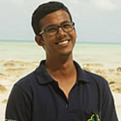 Killer tadpoles threaten Andaman archipelago's native frog species