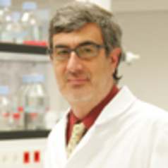 Rafael Franco – The Conversation