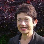 Helena Gleichen: pioneer radiographer, suffragist and forgotten hero of ...