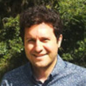 Modern tomatoes are very different from their wild ancestors – and we ...