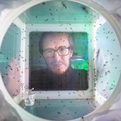 Perran Ross – The Conversation