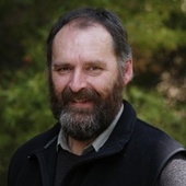 Where the old things are: Australia's most ancient trees