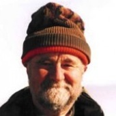 Wolves howl like humans, new voice recognition study shows